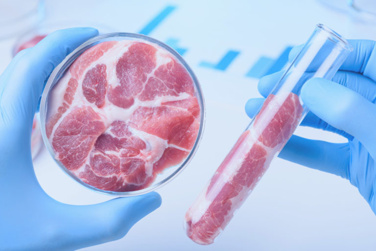 A CRITICAL OVERVIEW OF THE CONCEPT OF MEAT PRODUCED IN LABORATORIES ...